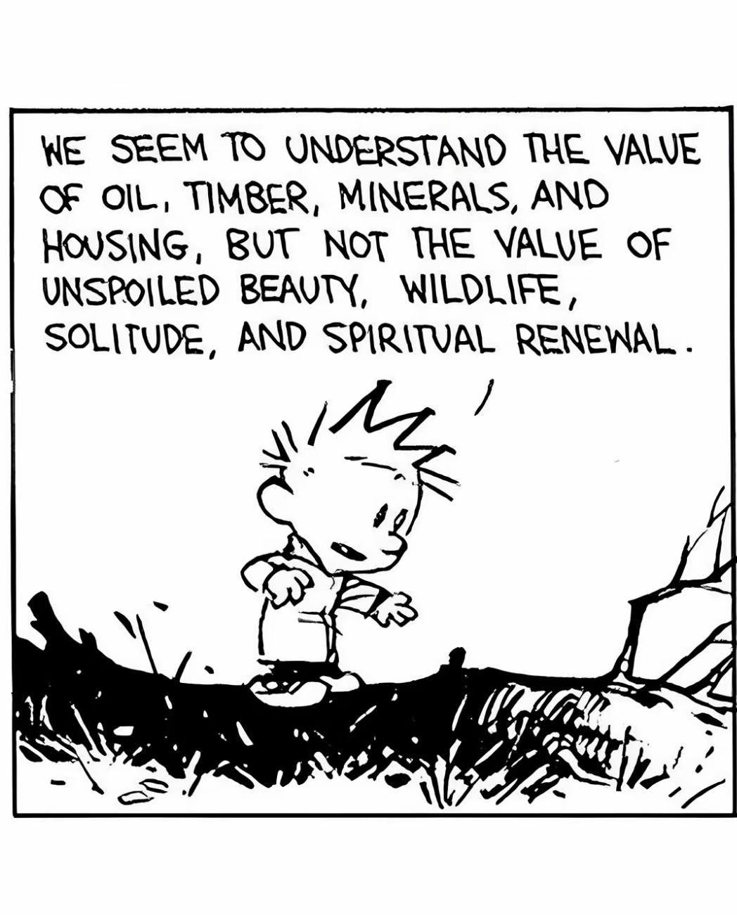 Calvin contemplating value